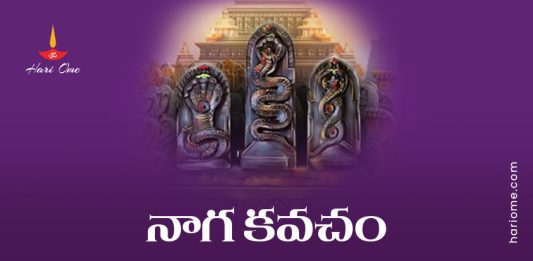 Sri Naga Stotram (Nava Naga) in Telugu | శ్రీ నాగ స్తోత్రం (నవనాగ ...